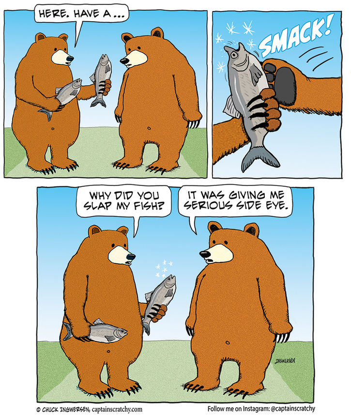 Captain Scratchy home for hilarious animal cartoons and comics