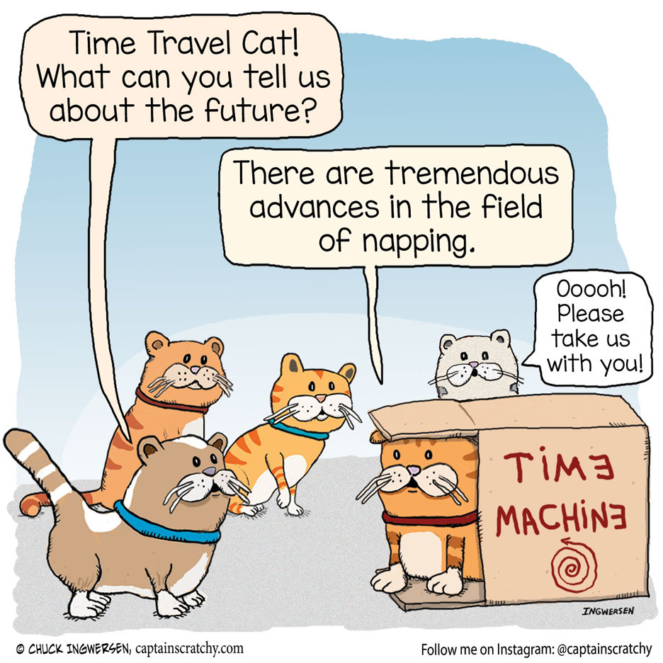 Time Travel Cat