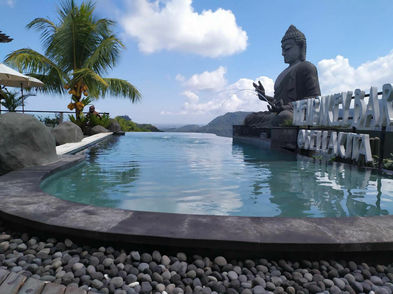 Monkey Bar Infinity Pool