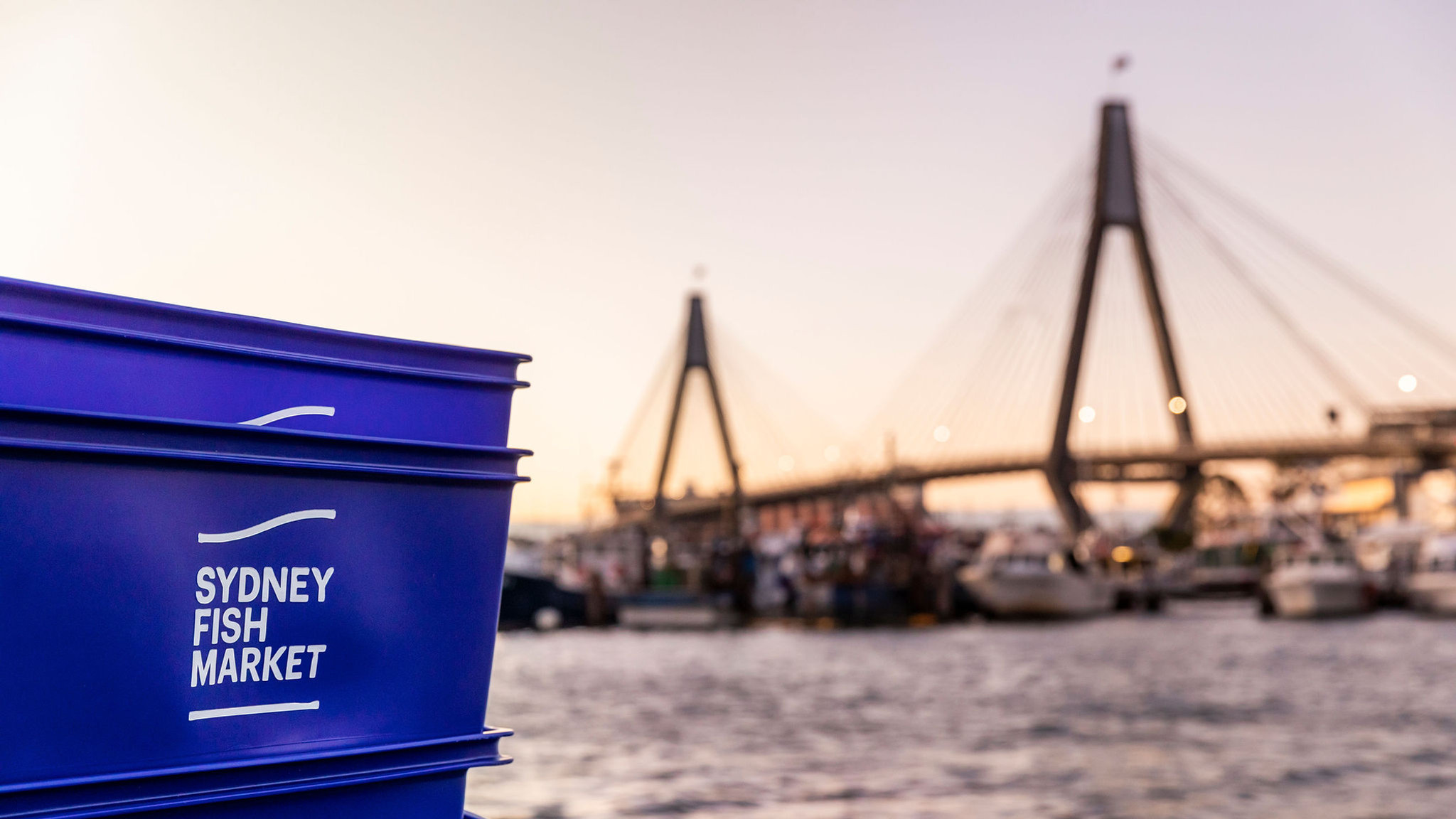 Sydney Fish Market Tours | Ocean Lovers Festival | Sydney