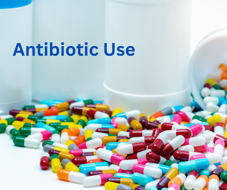 11/19/24 Public Health Education Topic: Antibiotic Use