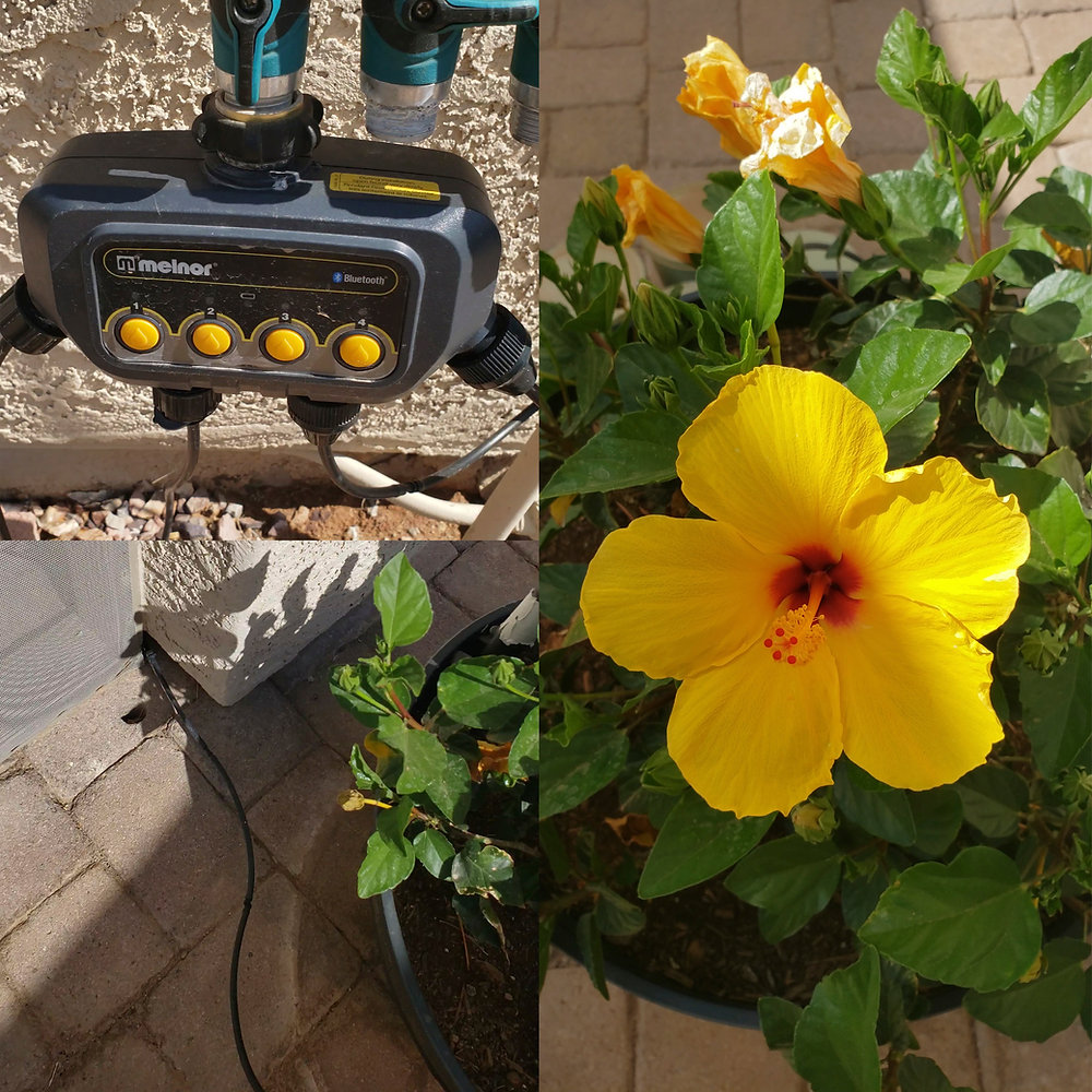 Drip line irrigation - How we ran an irrigation line on our patio. 👀😅👏