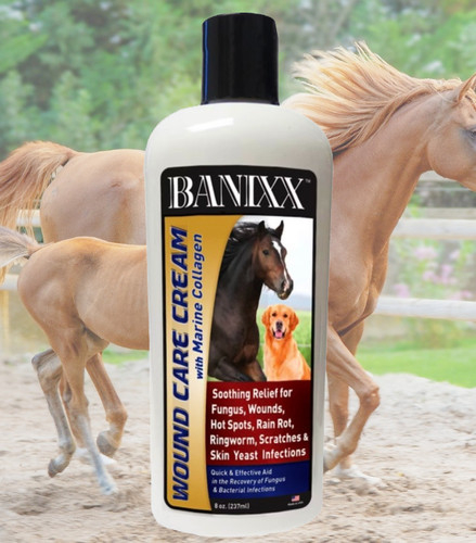 Banixx wound care with Marine, collagen for horses, dogs, and cats, 8 ...