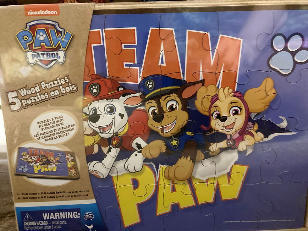 Paw Patrol set of 5 wood puzzles | Tack N'More Country