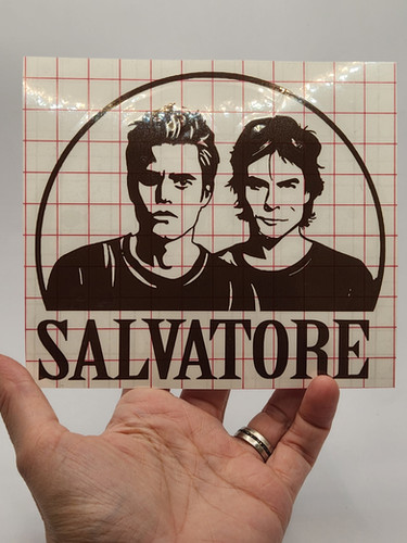 Vinyl Decal - Salvatore Vampire Diaries Brothers 4"-12" | Misty Figs ...
