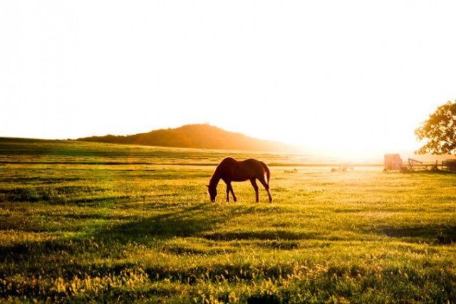 Tranquil sunsets and peace at JM Prosperity Farm Rustic Barn Venue