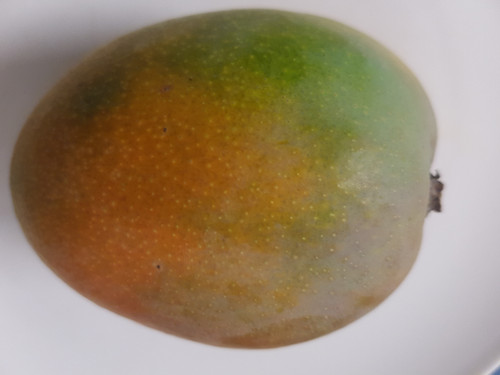 Mango | Bullock's Heart | Tropical Planet