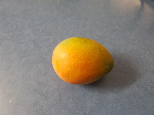 Orange Essense | Tropical Planet