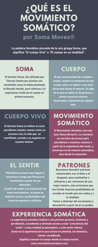 MOVIMIENTO SOMÁTICO, VISIÓN SOMÁTICA ¿Qué son?