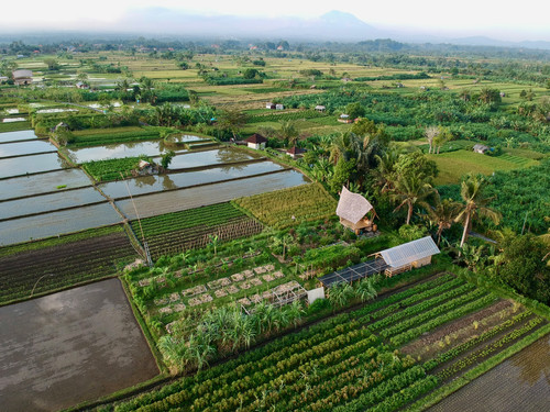 Regenerative Farm Tour | Astungkara Way