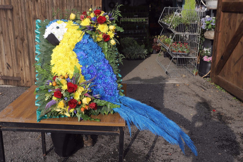 Bespoke Funeral Designs Parrot | BloomfieldFlowerBarn
