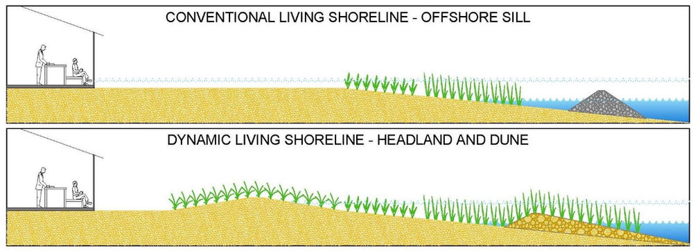 OUR UNIQUE LIVING SHORELINES
