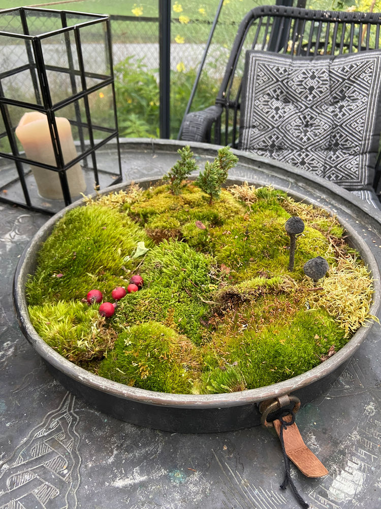 diy mosefat // diy moss tray