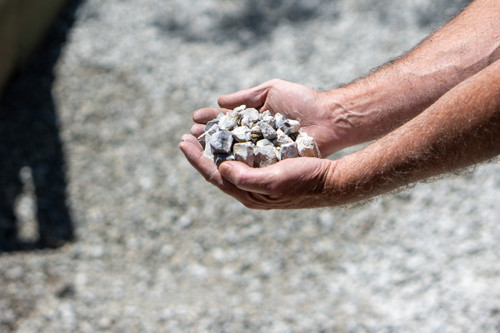 57 Washed Limestone | Backyard