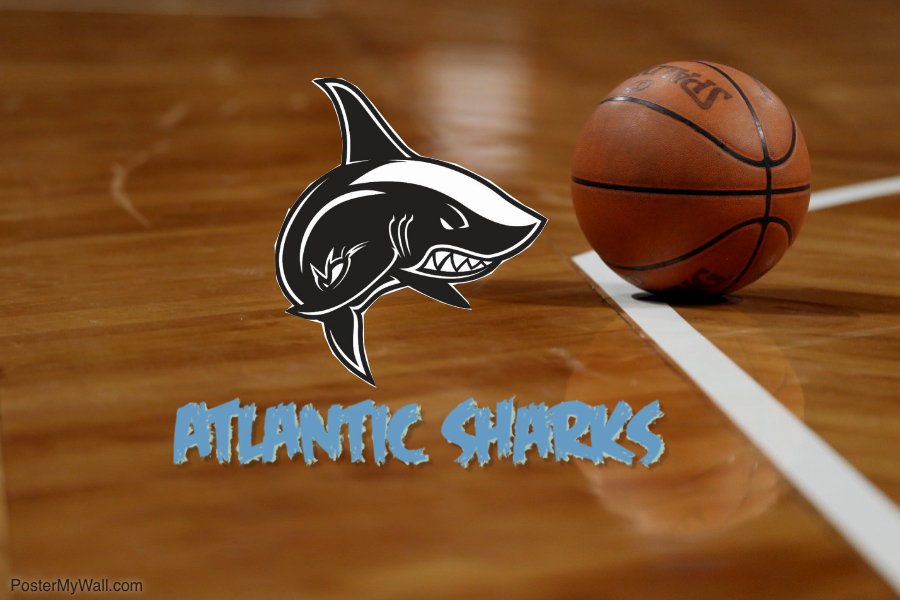 Westchester Basketball Youth | NY | Scarsdale Sharks