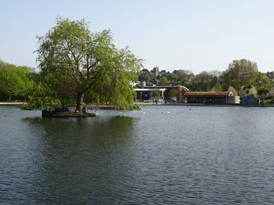 Wizard Steve | Travel blog