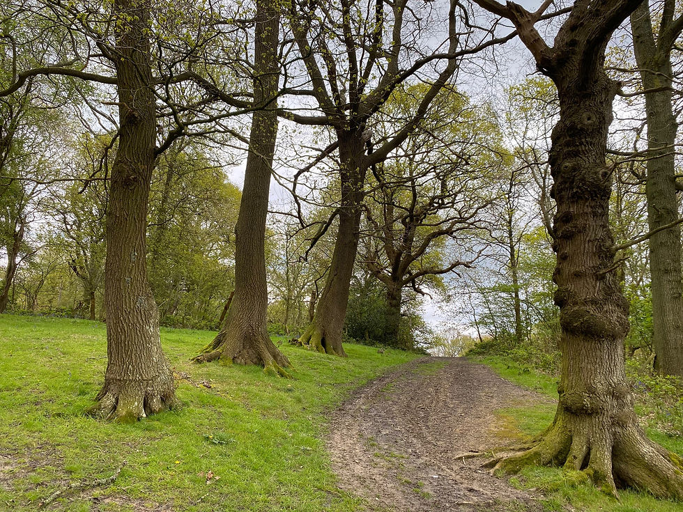 Bough Beech Reservoir and a walk around the grounds of Bore Place Estate