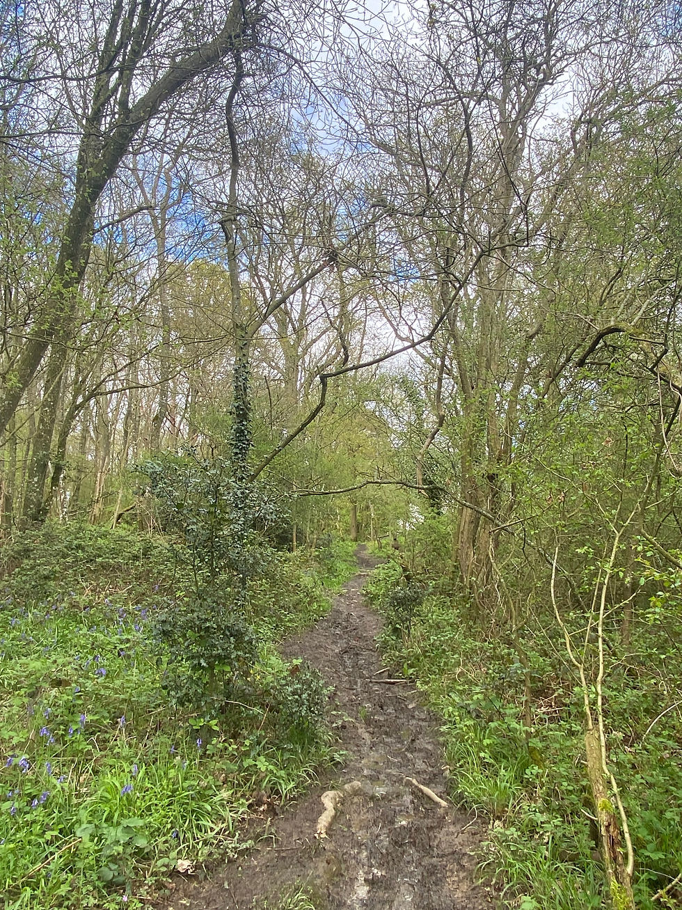 Bough Beech Reservoir and a walk around the grounds of Bore Place Estate