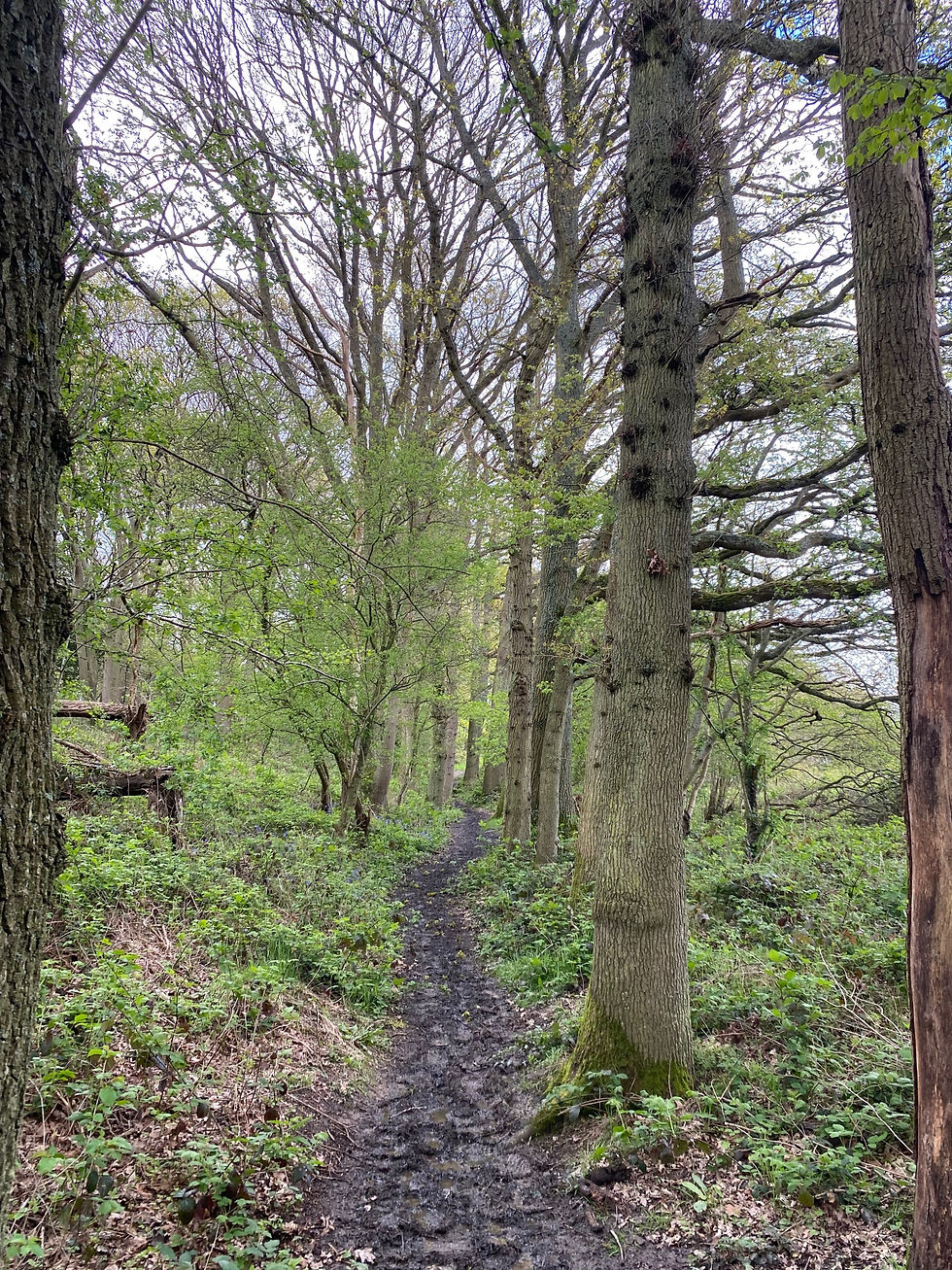 Bough Beech Reservoir and a walk around the grounds of Bore Place Estate