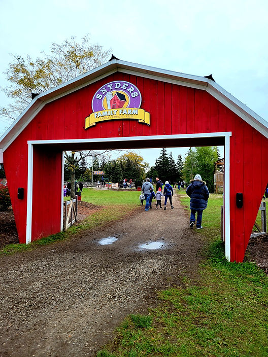 snyder farm