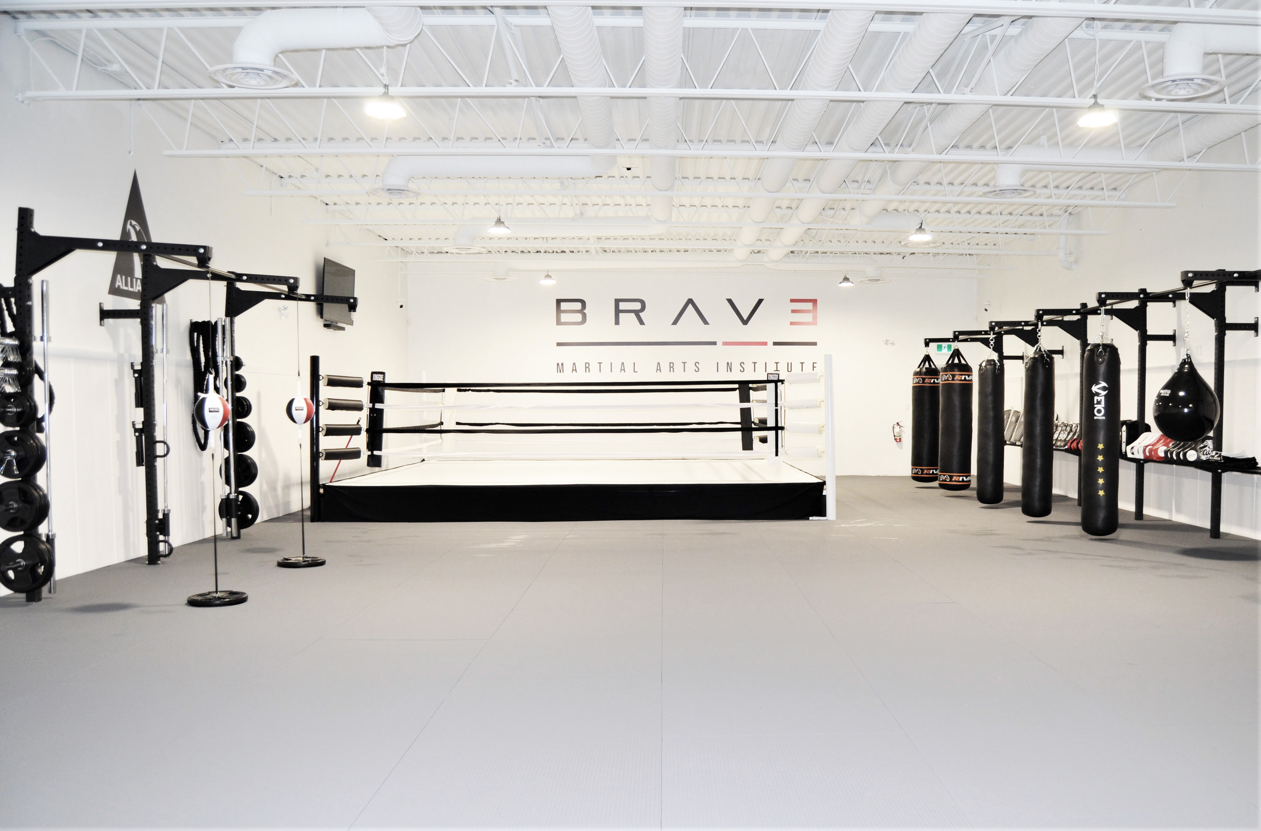Brave Martial Arts Institute