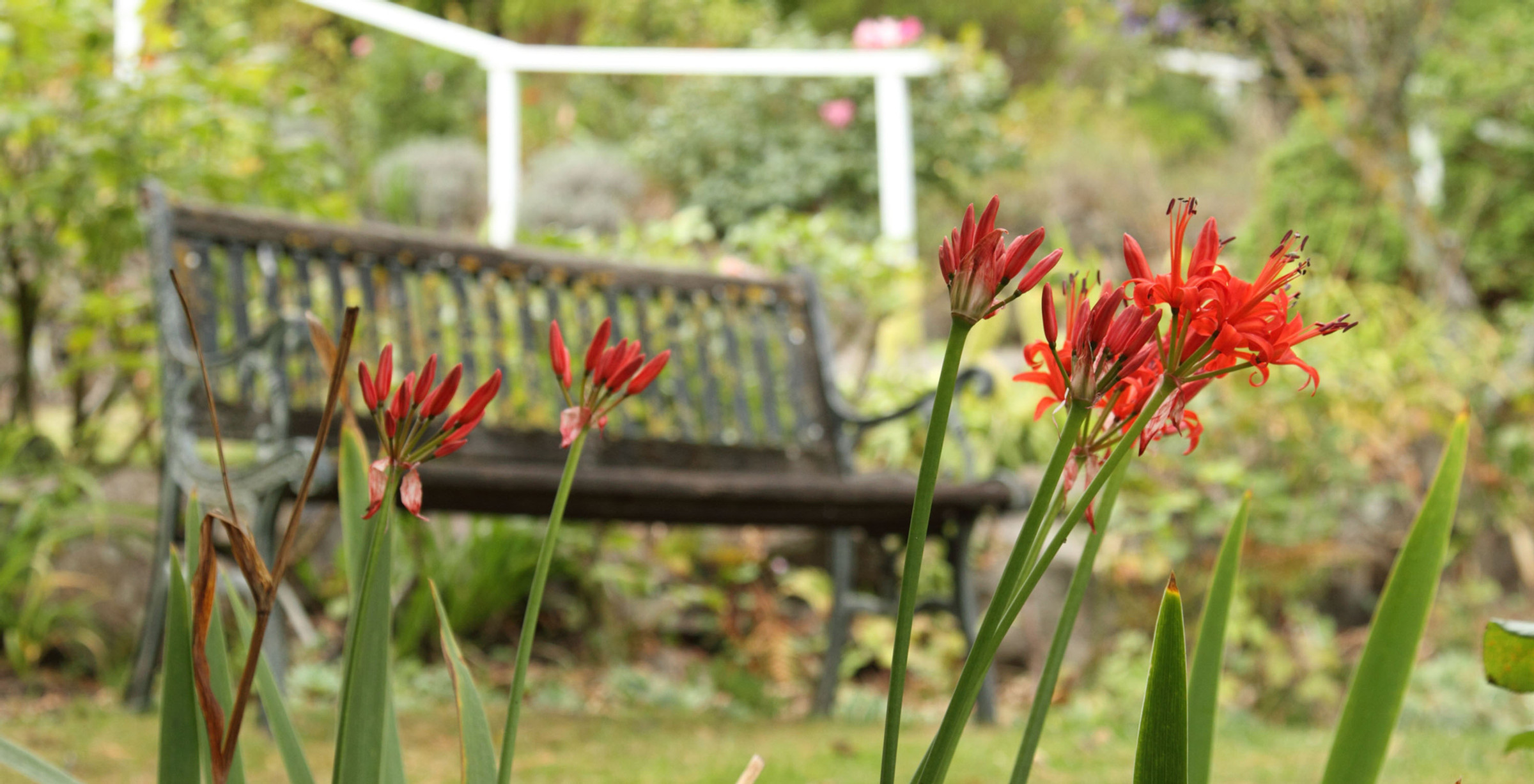 About the Ngaio Marsh House & Heritage Trust, Christchurch NZ