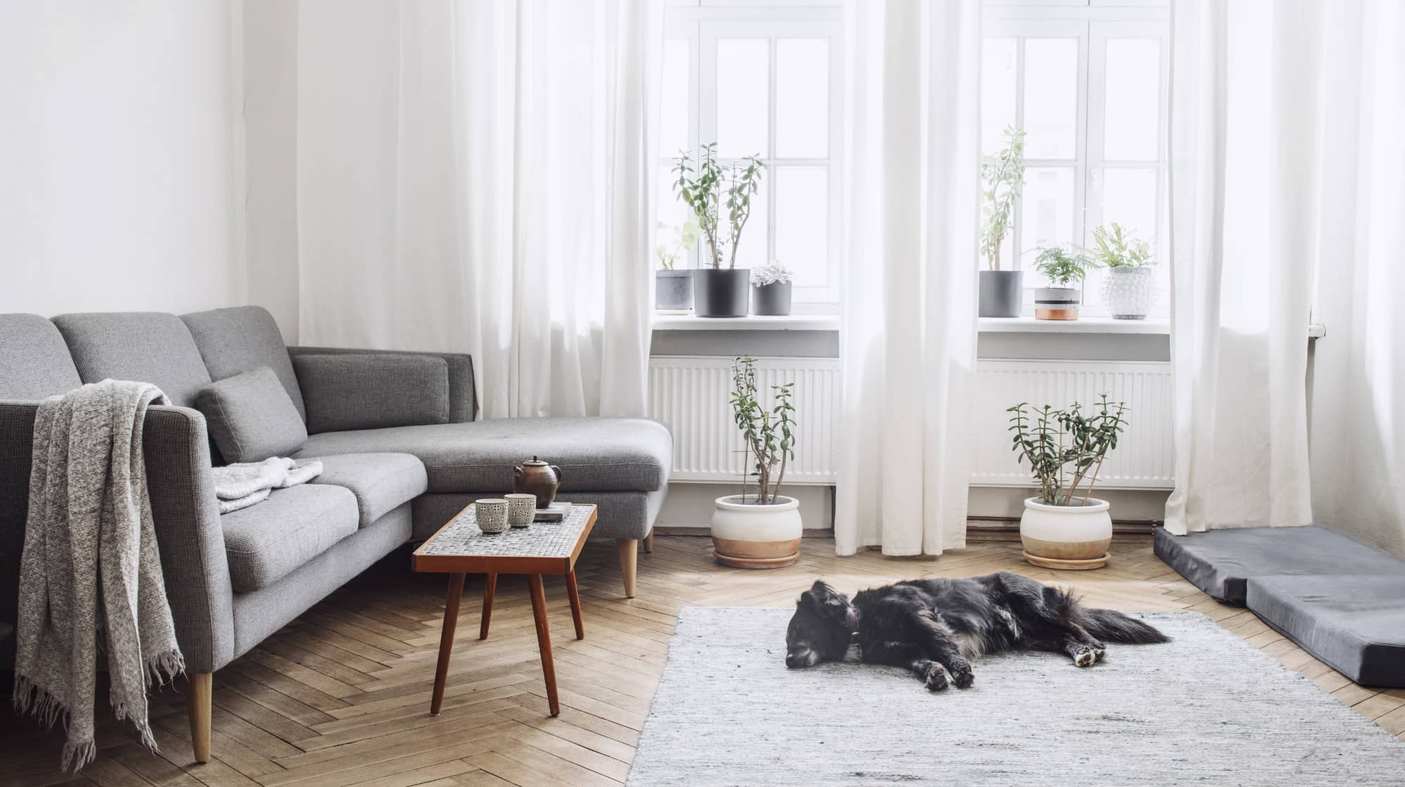 Stress-Free Rentals - Rentworks Property Management Christchurch