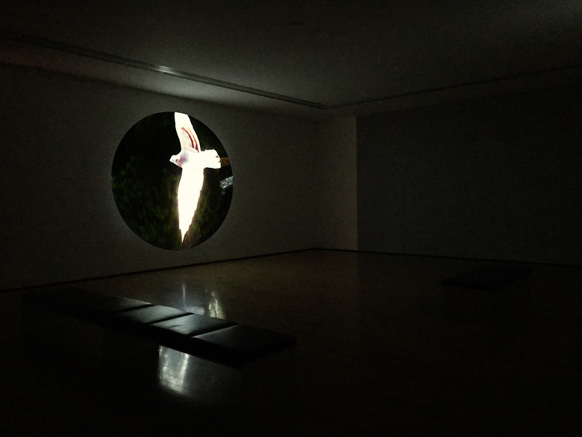 Studio SHINGO YOSHIDA | シンゴ ヨシダ