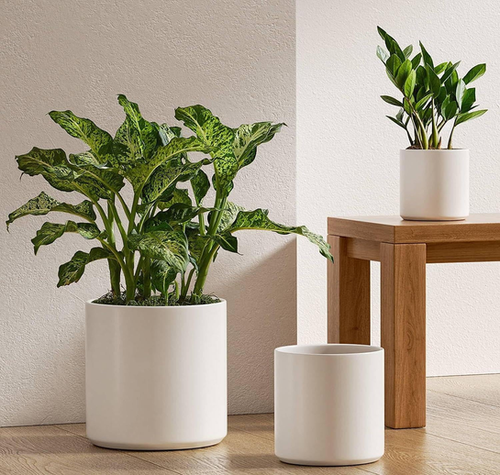 White Ceramic Plant Pots, Set of 3 Pots with Drainage Hole and Plug for ...