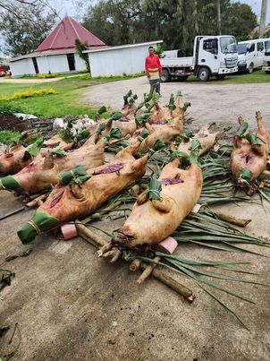 An audience with His Majesty King Tupou VI at the Royal Palace