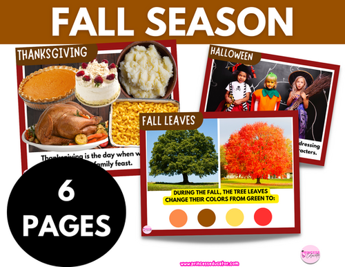 Fall Season Learning Cards | Princess Educator
