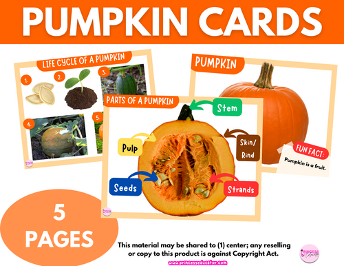 Pumpkin Learning Cards | Princess Educator