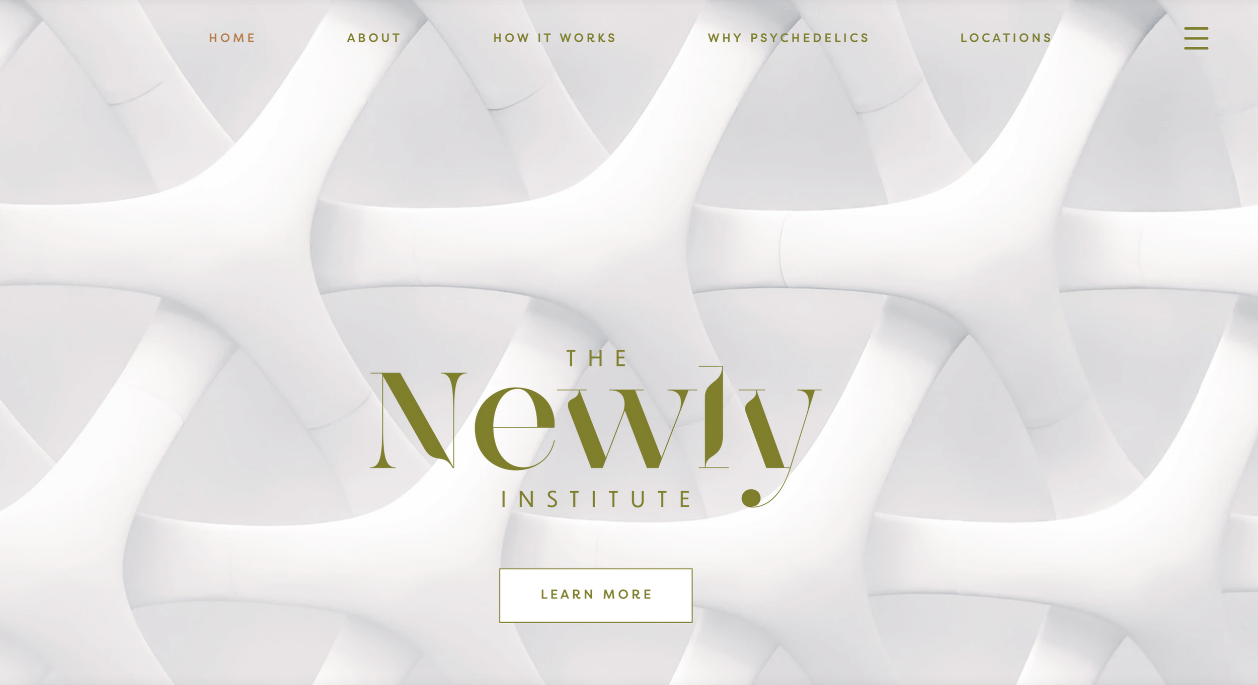 The Newly Institute | A Brighter Future for Mental Health