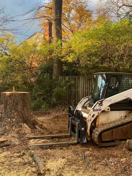 Home | RS Tree & Landscaping Service - Northern Virginia / MD / D.C.