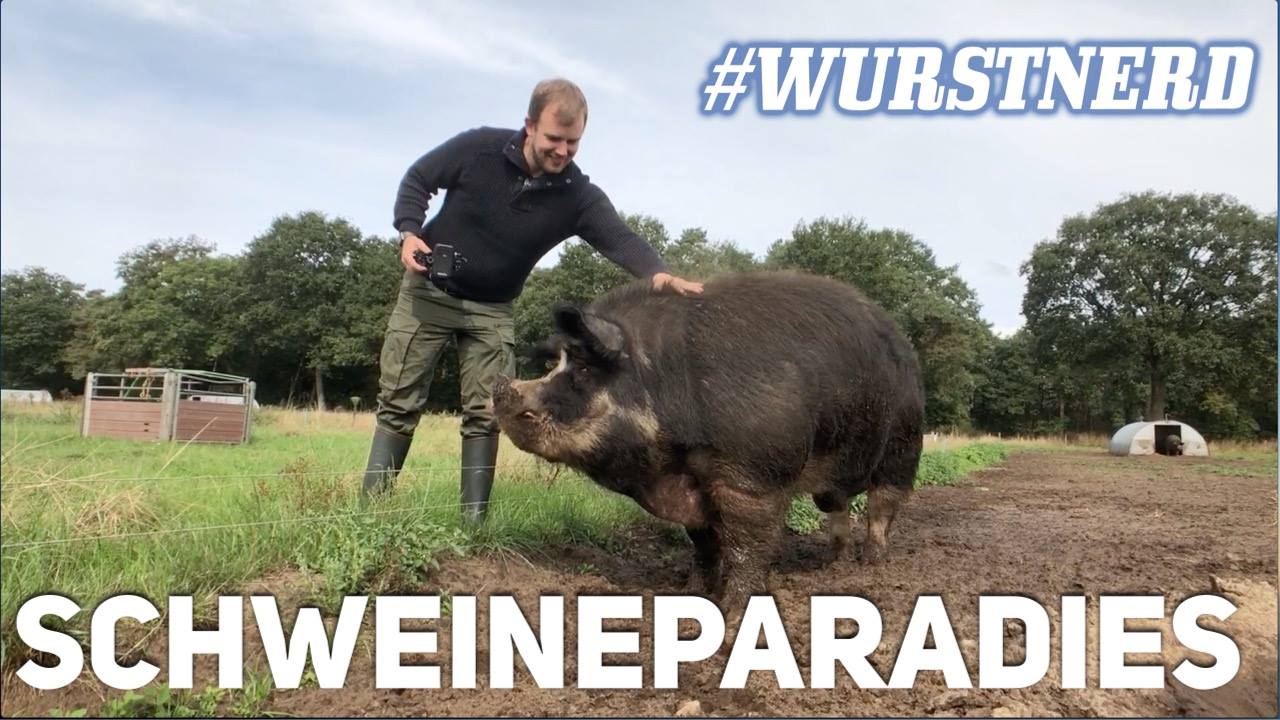 In de media | Keesscheepens.com