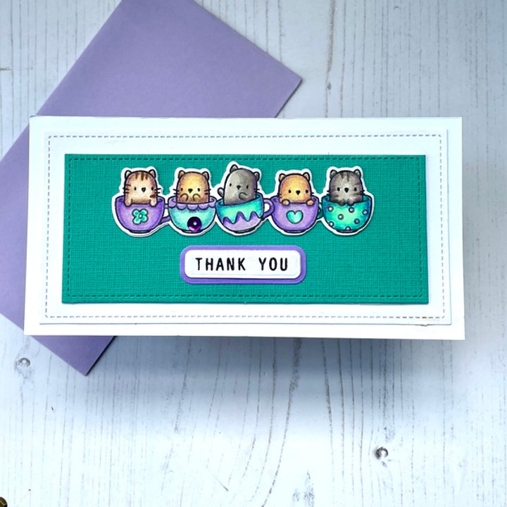 Make a Wish Slimline Card