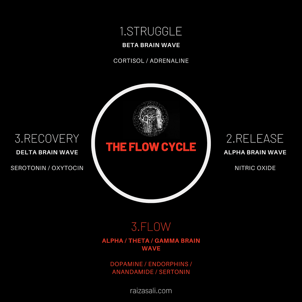 4 Stages Of The Flow Cycle: The Scientific Guide To Finding Consistent ...