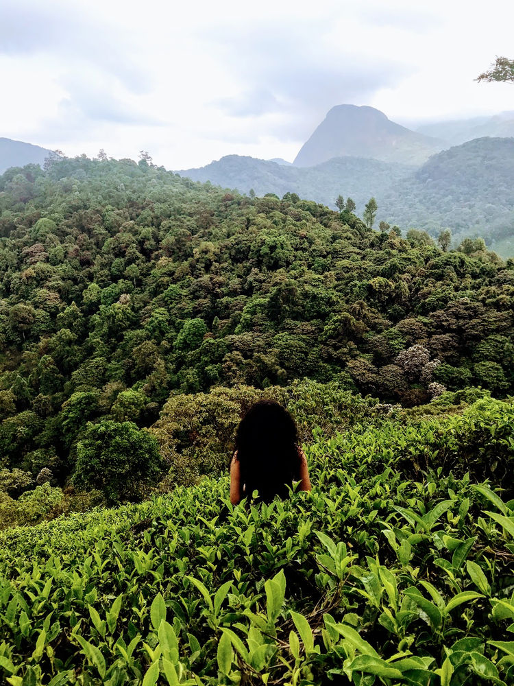 4 Stages Of The Flow Cycle: The Scientific Guide To Finding Consistent ...