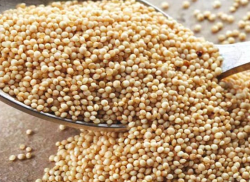 AMARANTH | New Heights