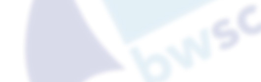 Meet the team | BWSC