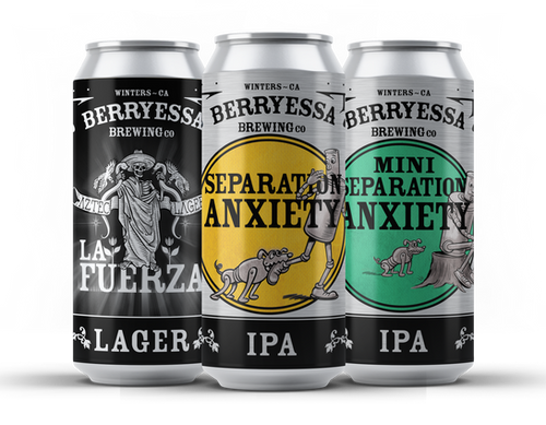 Mixed IPA Case (Includes IPA's/Seasonals) 24 Pack of Beer (California ...