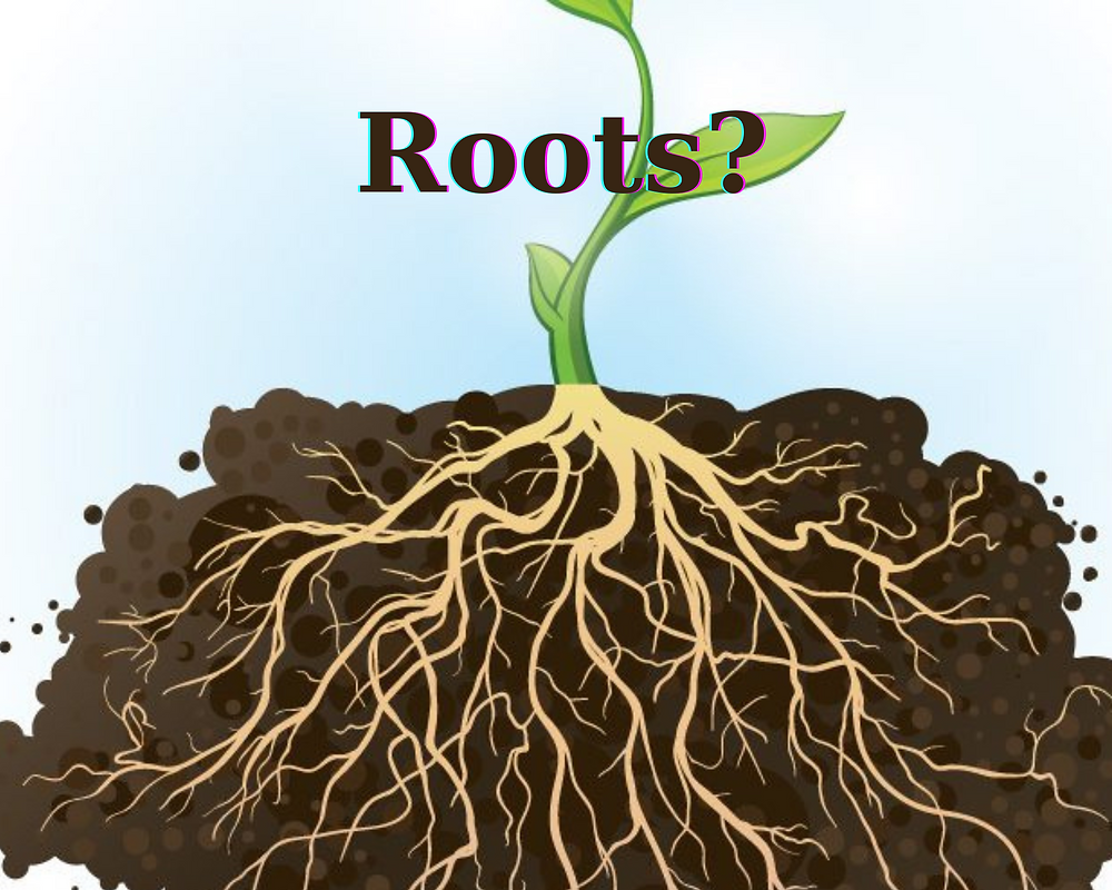 Roots: Xylem vessels and Phloem vessels.
