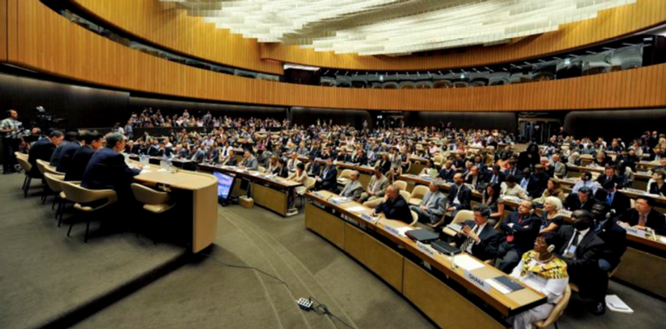 UN environment conferences and civil society participation