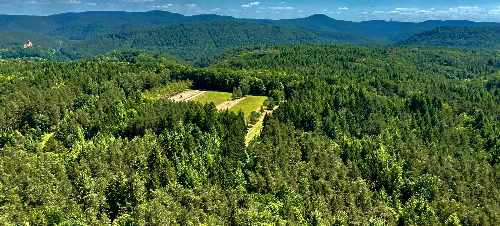 Rauchiger Gaumenschmaus | The Outdoor Sense