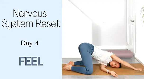 Nervous System Reset - Yoga with Rachel