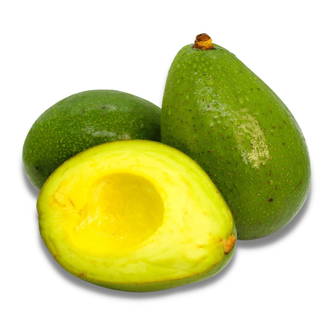 Tropical Avocado | Fresh Quality | Exporter of Brazilian Produce