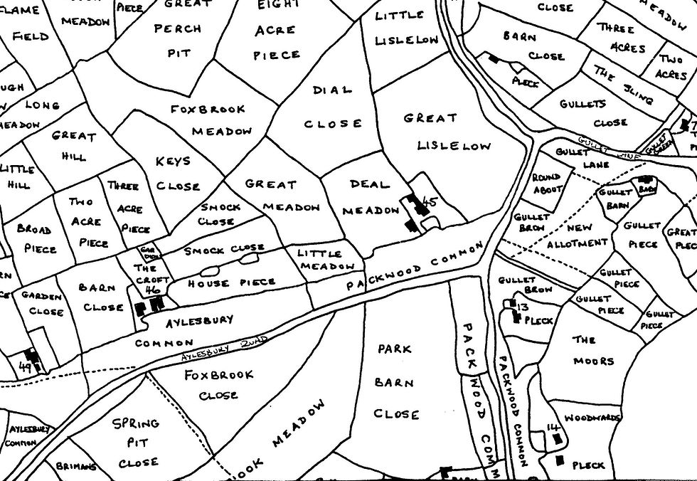 History of Broadacre | garden