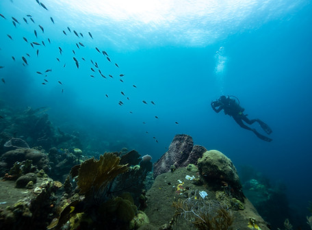 Dive Instruction | Dive Antilles