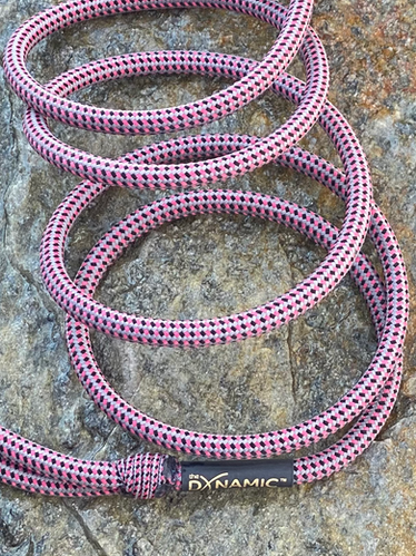 Custom Leash Order Infinity | The Dynamic Lead