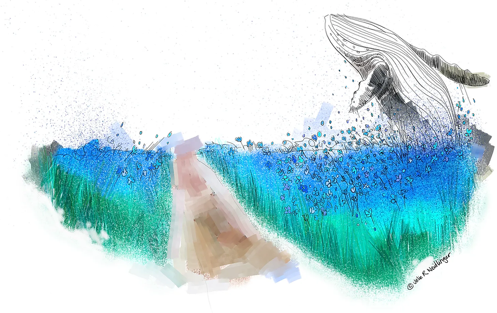 How do we find God's joy and wonder in a cynical and weary world?